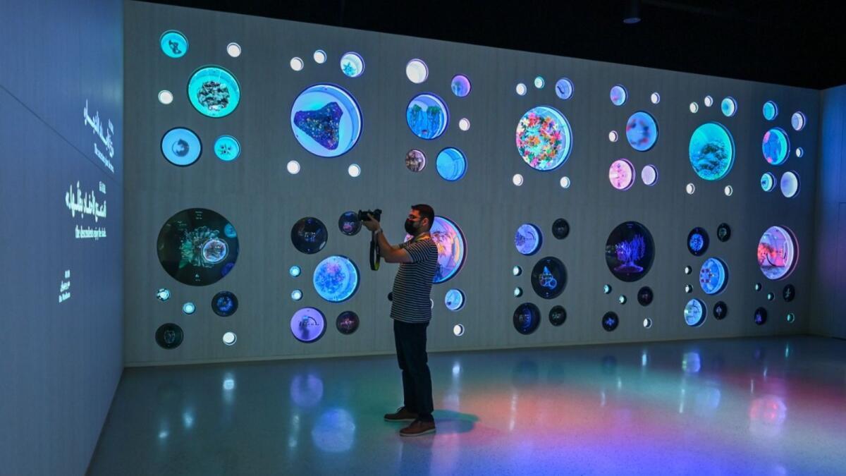 Museum Of The Future 2023| Enjoy Traditional Exhibits, Immersive ...